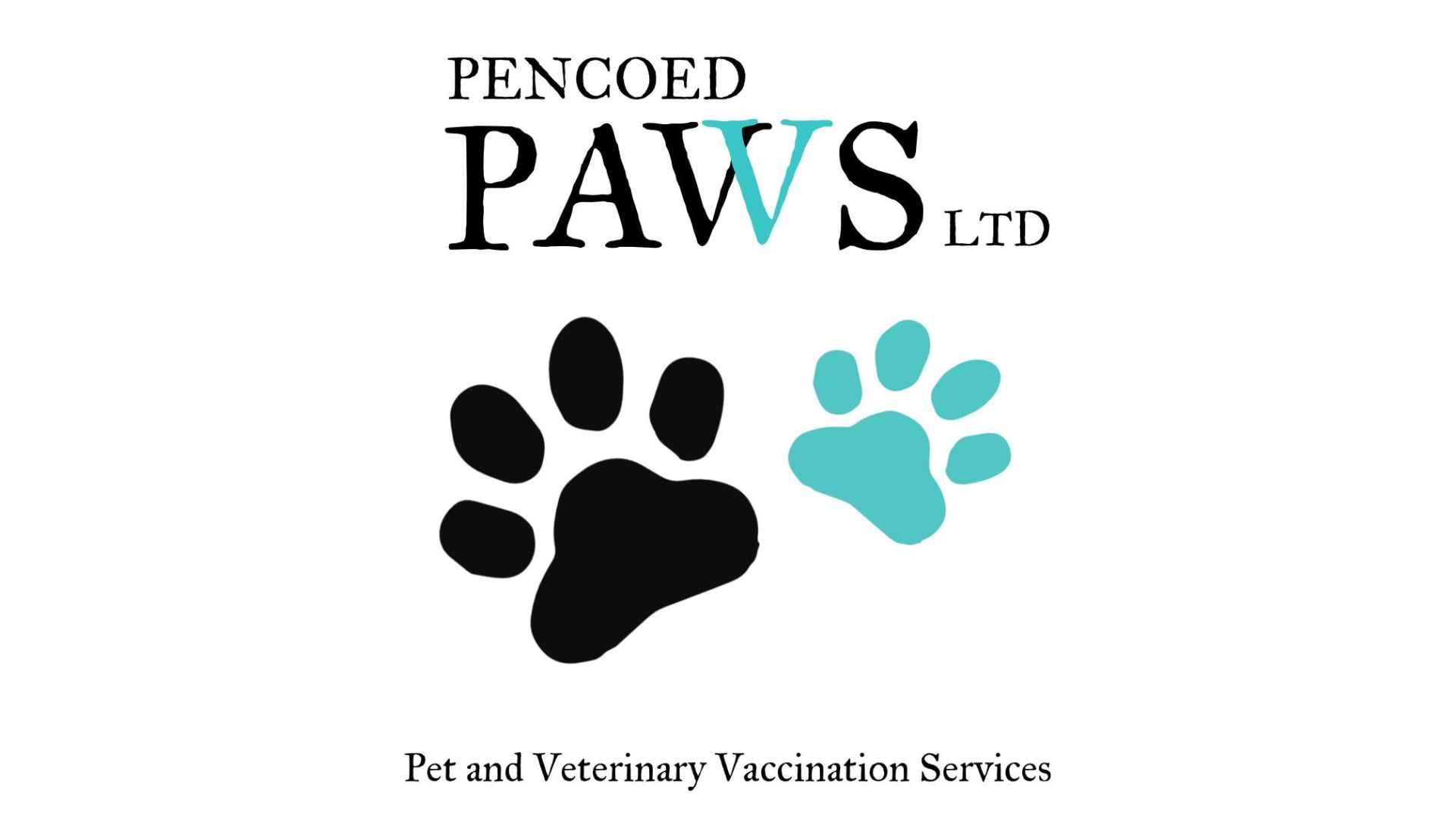 Dog Vaccination Services | South Wales | Pencoed Pavvs Ltd